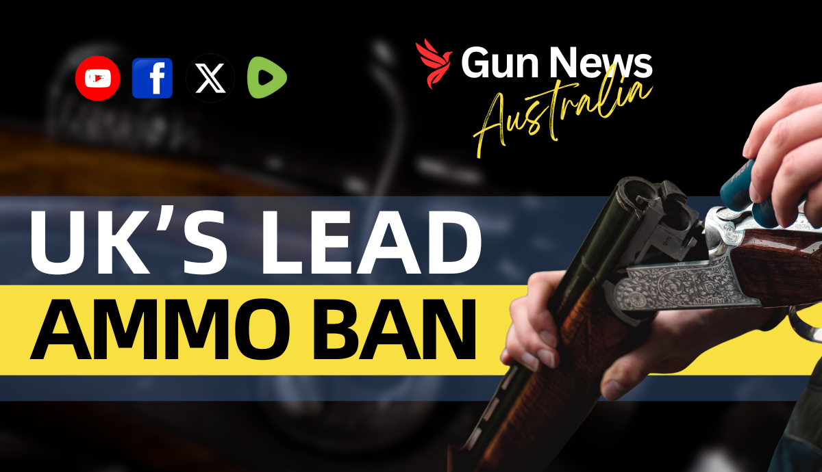 LEAD BAN: UK moves on hunting and target ammo - Politics Reloaded